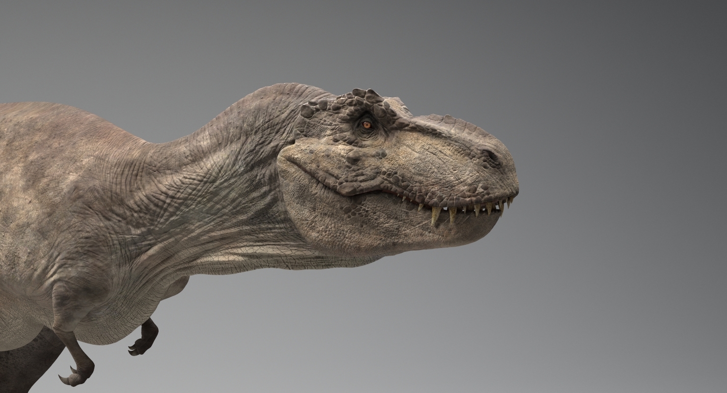 t-rex rig x