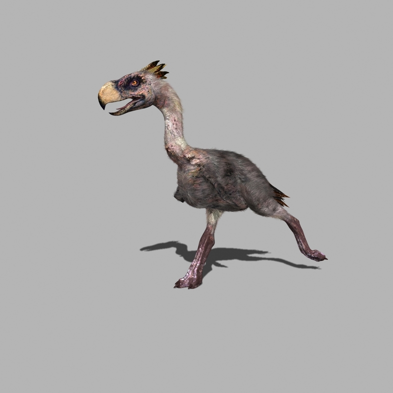 Terror bird phorusrhacos 3D model - TurboSquid 1338458