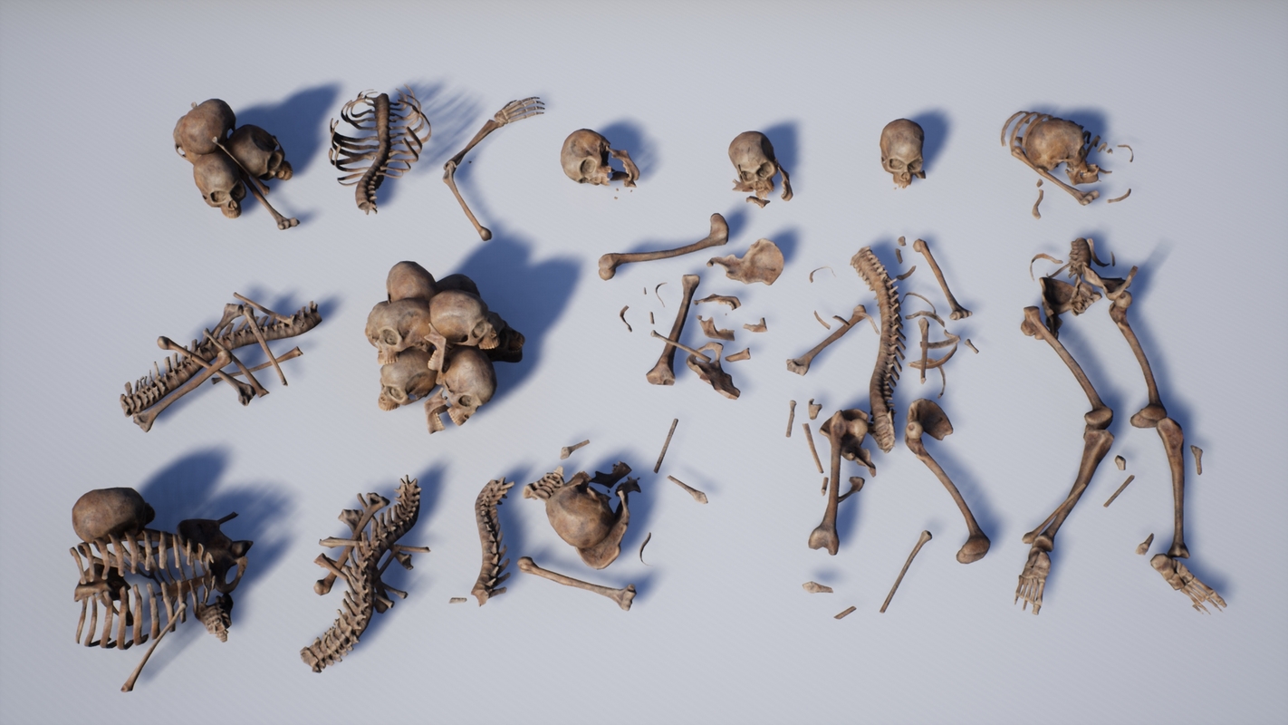Human remains skeleton body model - TurboSquid 1338750