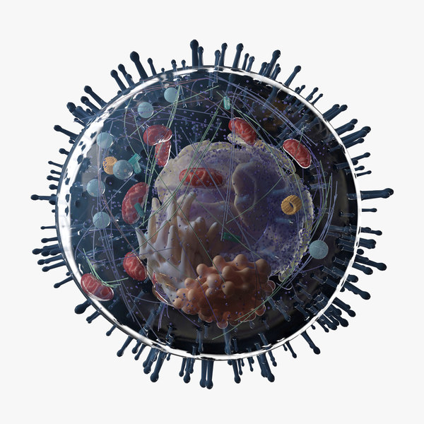 Cell 3D Models for Download | TurboSquid