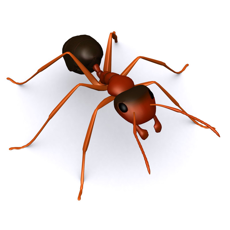 Free 3D model ant - TurboSquid 1339233