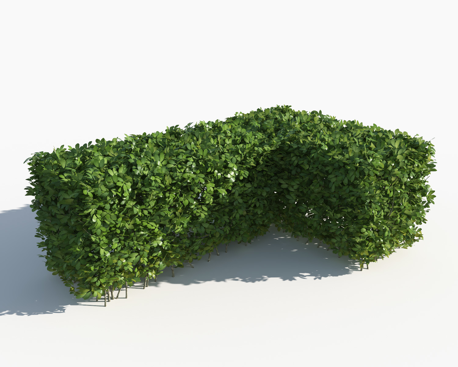 hedge 3d max