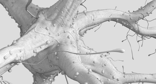 3D nerve cell - TurboSquid 1338391