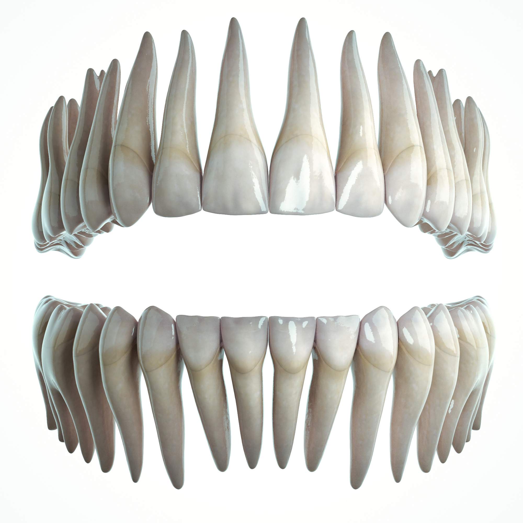 modelo 3d Modelo realista de boca humana - TurboSquid 1342408