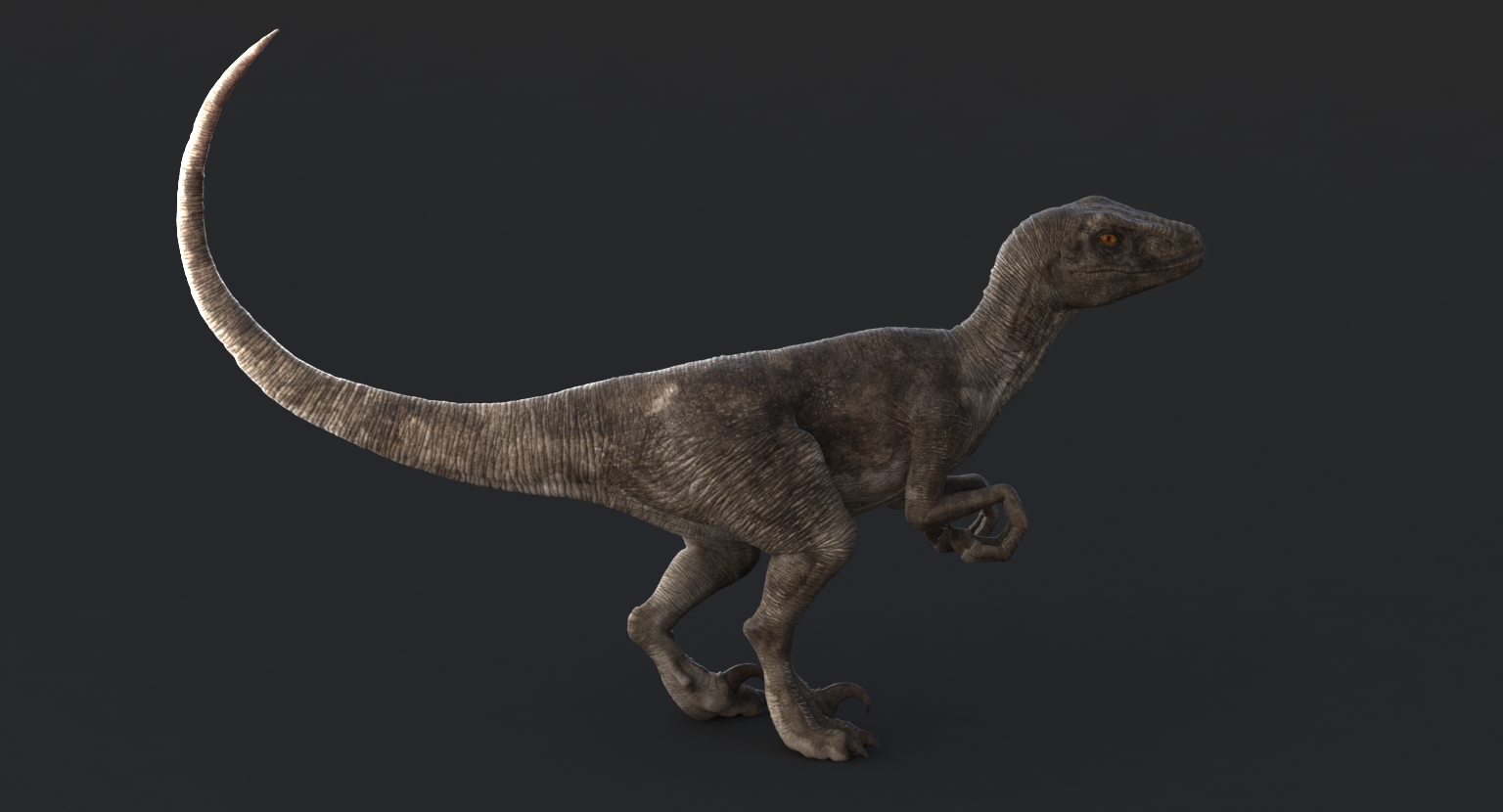realistic velociraptor rigged raptor 3d max
