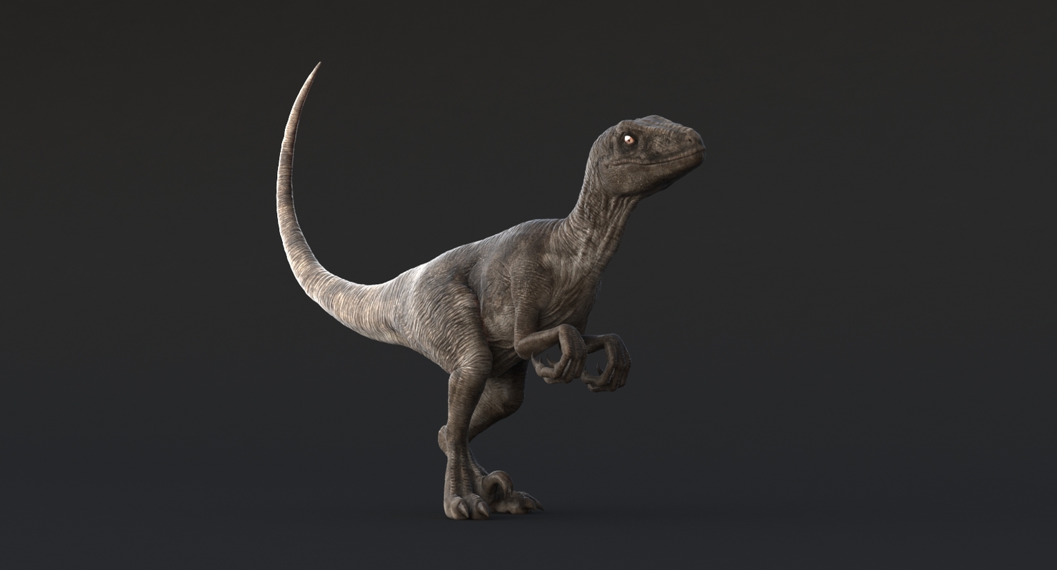 realistic velociraptor rigged raptor 3d max