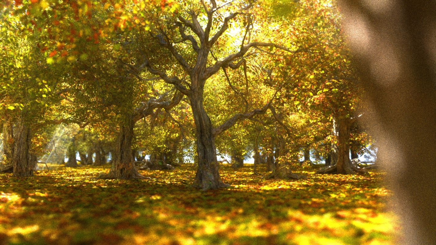 Autumn forest 3D - TurboSquid 1342122