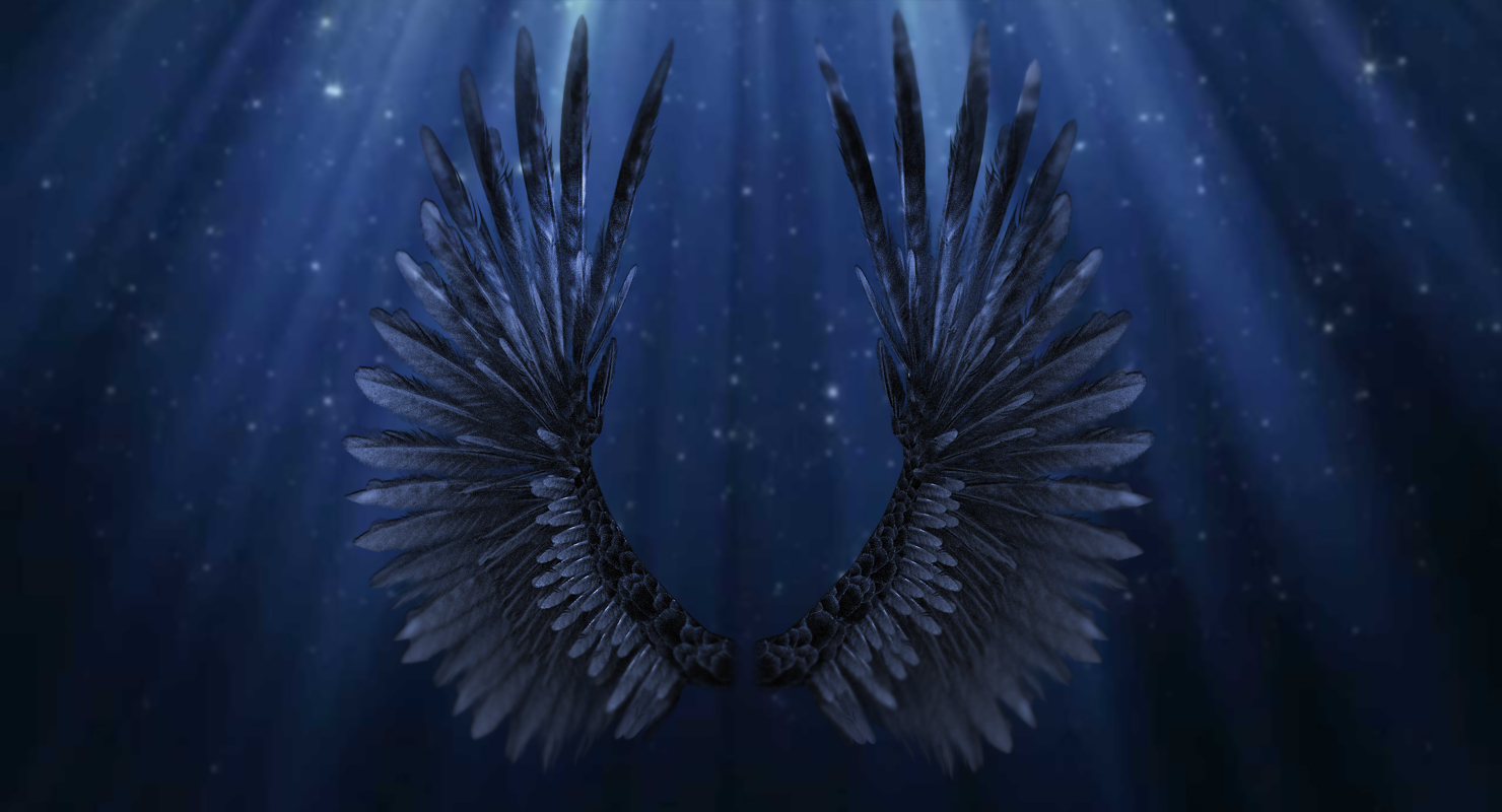 3d model realistic wings rigged