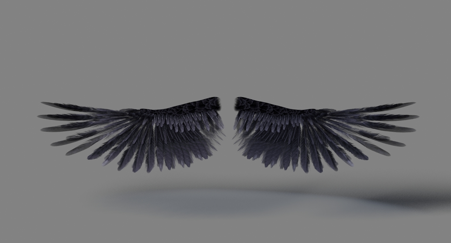 3d model realistic wings rigged