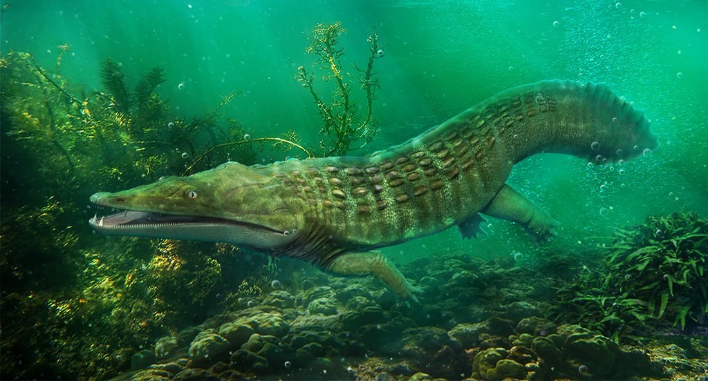 Trematosaurus 3D model - TurboSquid 1343684