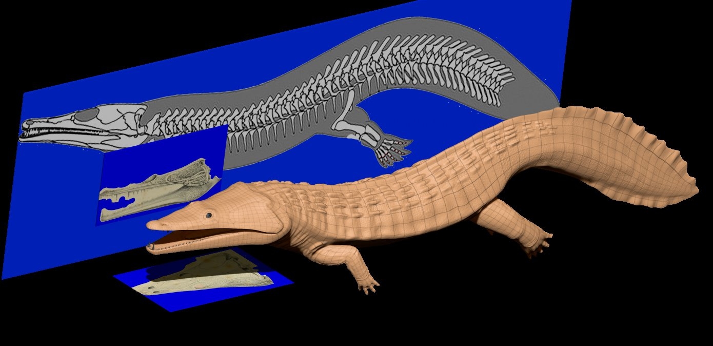 Trematosaurus 3D model - TurboSquid 1343684