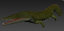 Trematosaurus 3D model - TurboSquid 1343684
