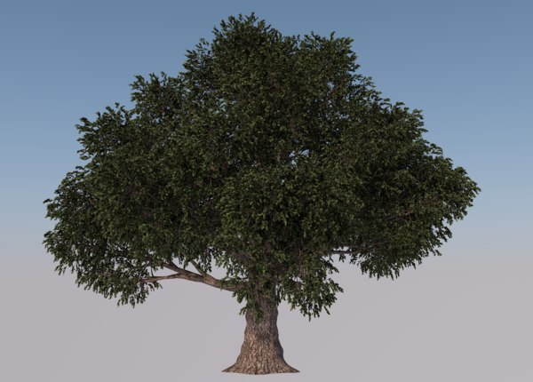 Tree STL Models for Download | TurboSquid