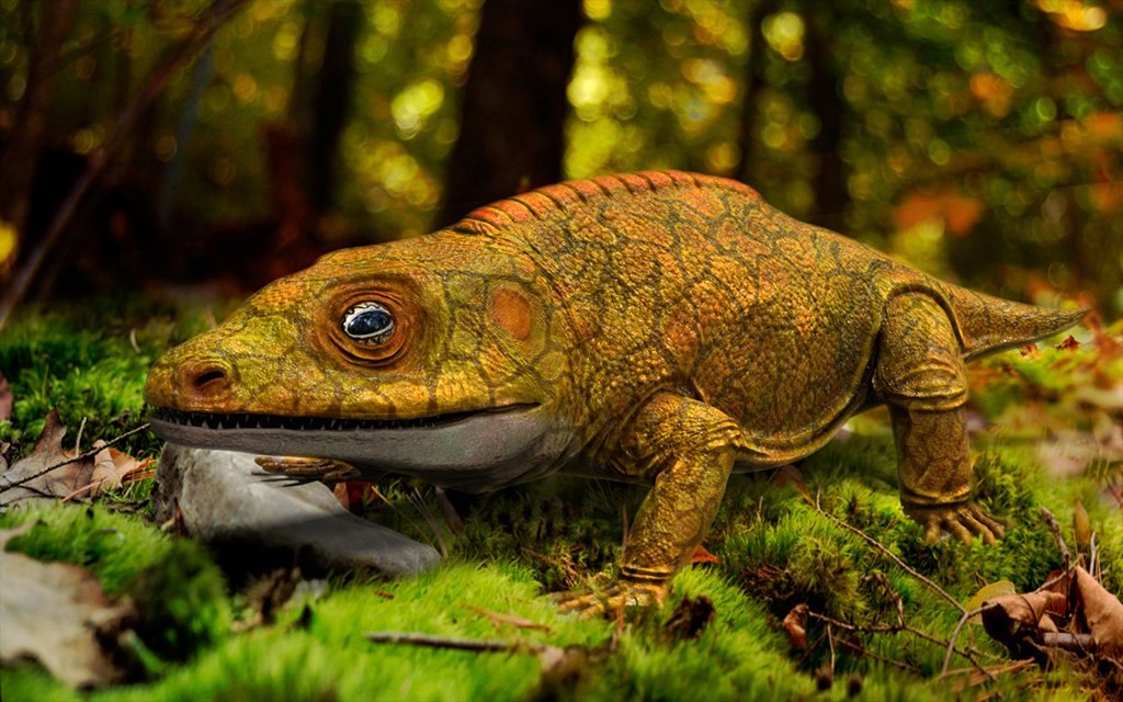 Cacops aspidephorus 3D - TurboSquid 1343736