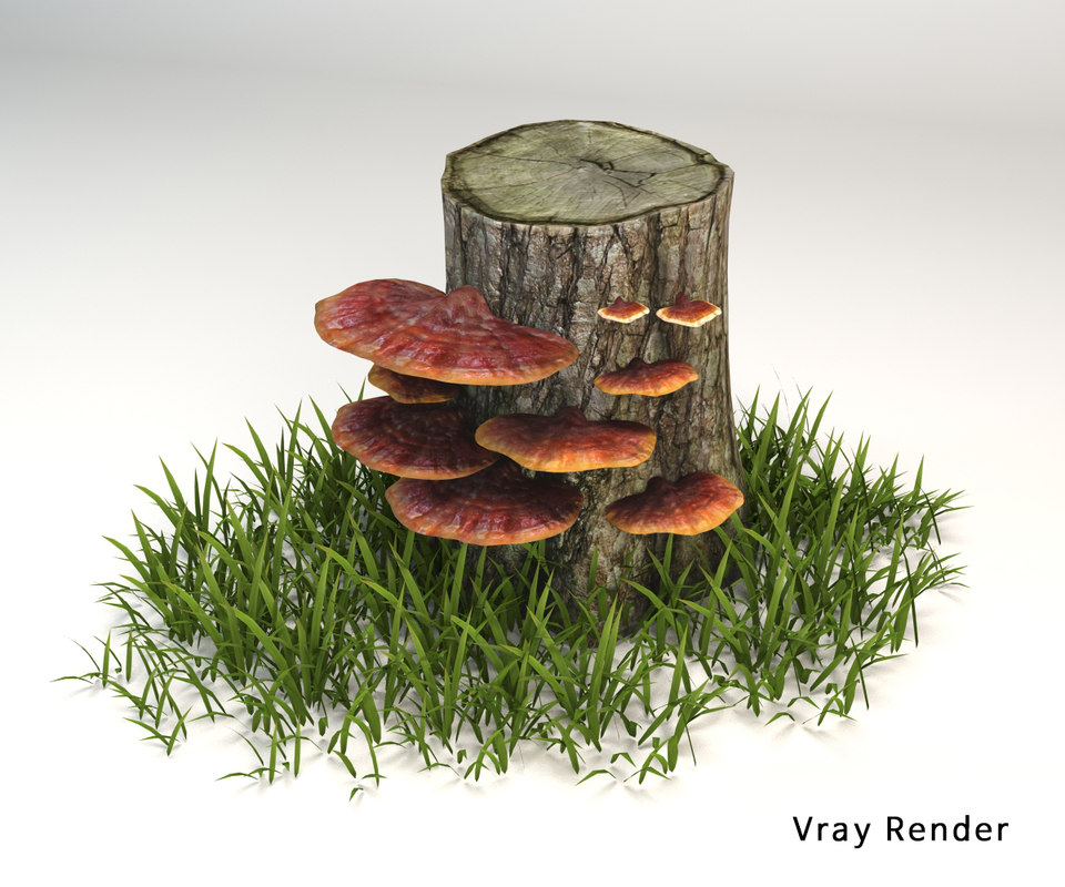 3D mushroom model - TurboSquid 1344135
