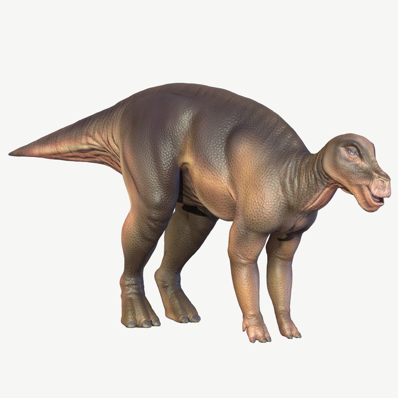 3D model protohadros - TurboSquid 1338781