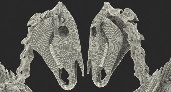 Horse skeleton running pose 3D - TurboSquid 1345091