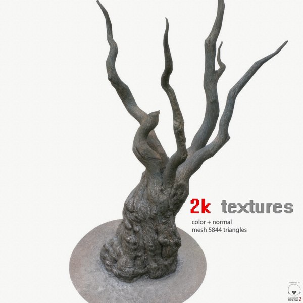 Free 3D Textured Models | TurboSquid