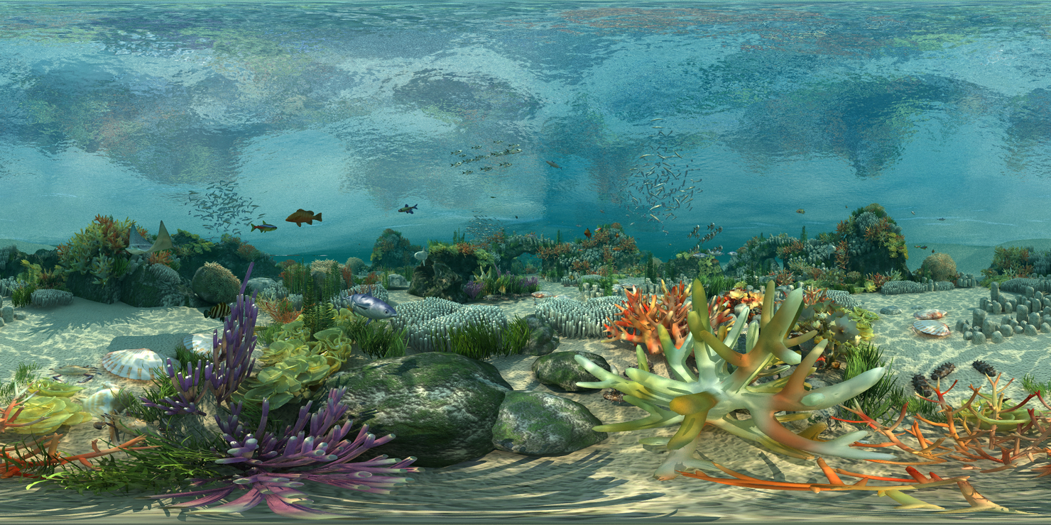 3D ocean floor coral reefs - TurboSquid 1345106