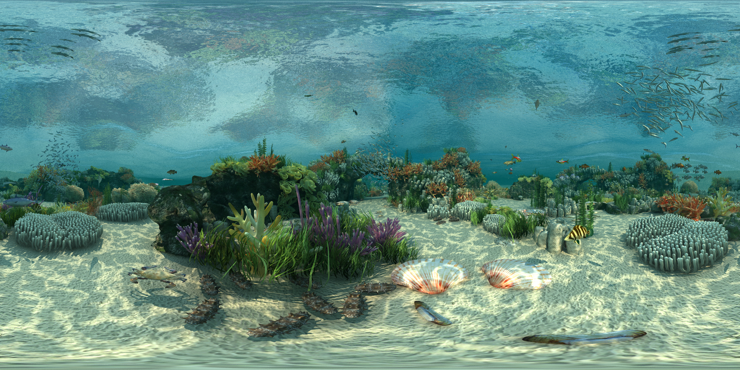 3D ocean floor coral reefs - TurboSquid 1345106