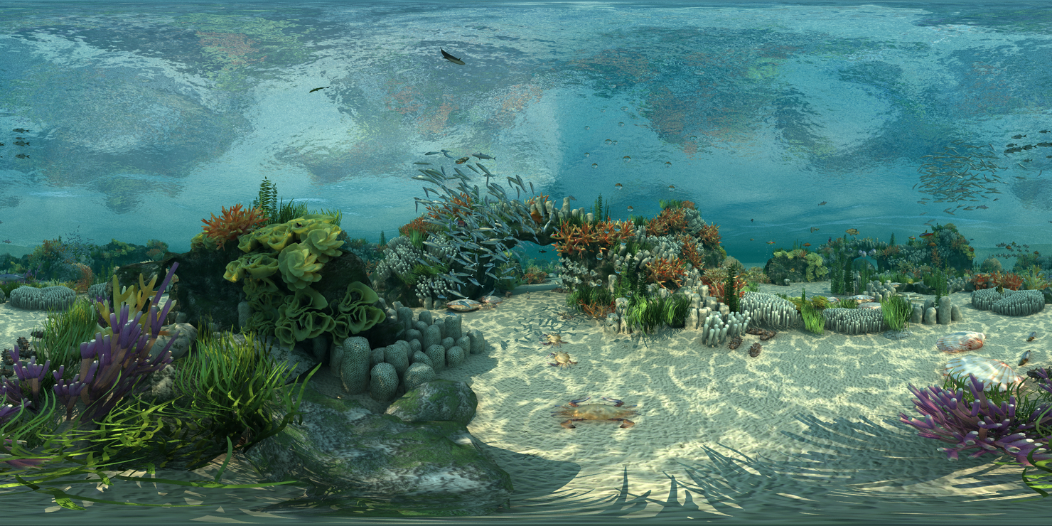 3D ocean floor coral reefs - TurboSquid 1345106