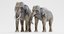 3D model asian elephants - TurboSquid 1341691