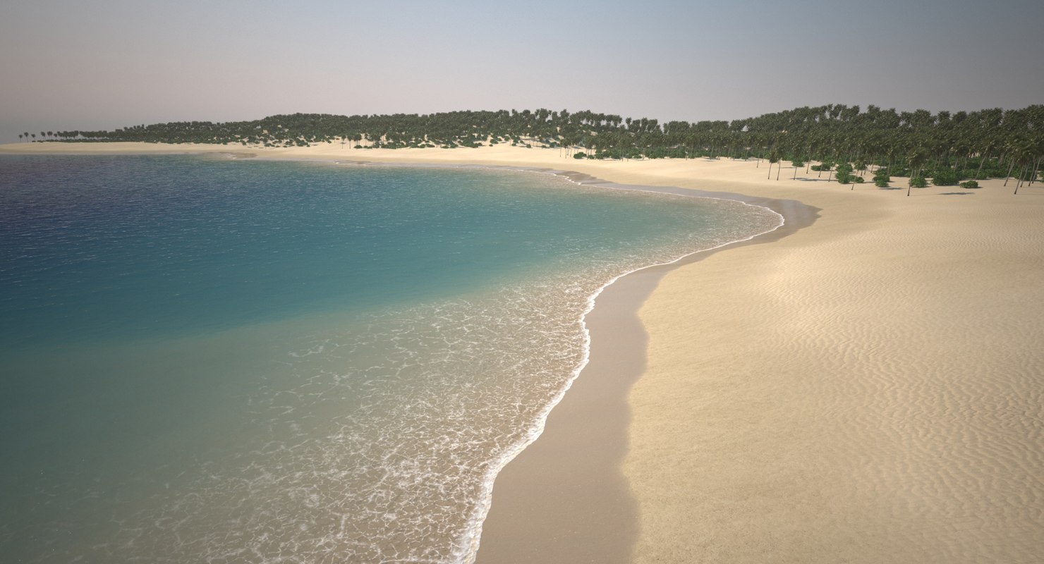 Palm beach shoreline 3D - TurboSquid 1345823