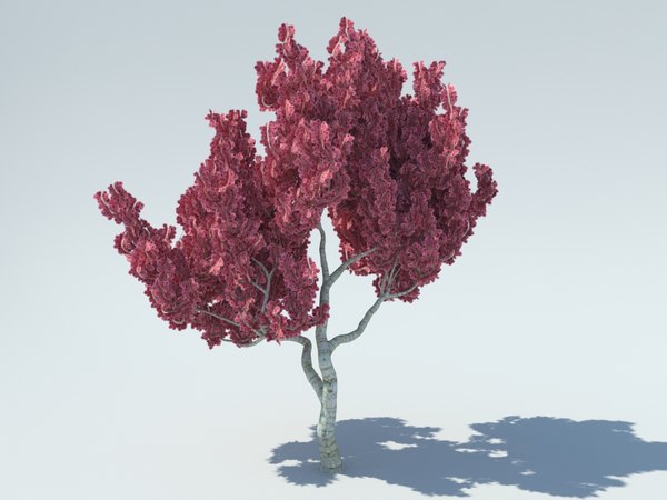 Sakura 3D model - TurboSquid 1346054