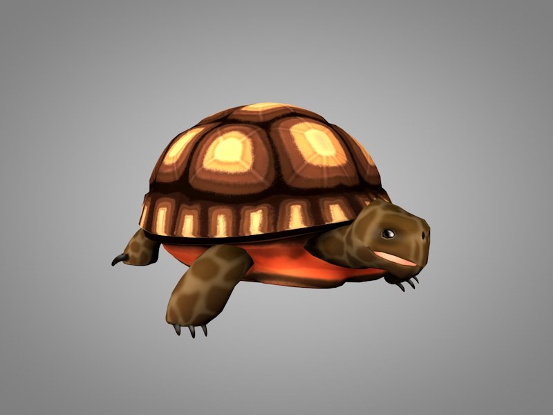 Turtle model - TurboSquid 1346418