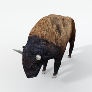 3D Buffalo Models | TurboSquid