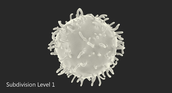 3D lymphocyte blood cell - TurboSquid 1346873