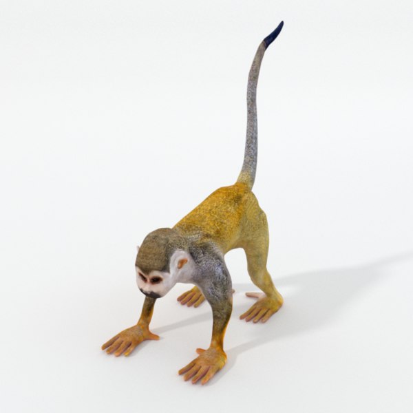 3D Monkey Models | TurboSquid