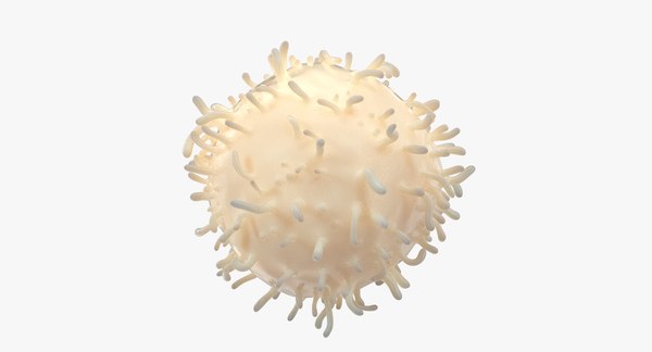 White blood cell 3D model - TurboSquid 1346854