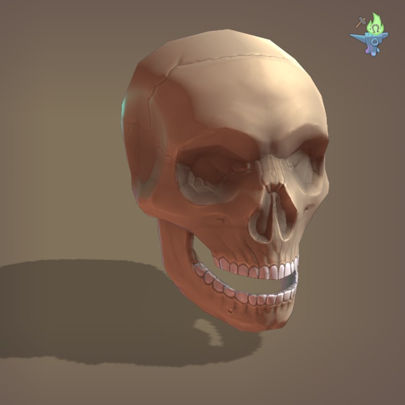 3D cranium skull model - TurboSquid 1346434