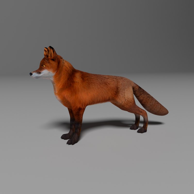 Low Poly FOX 3D-Modell - TurboSquid 1348225