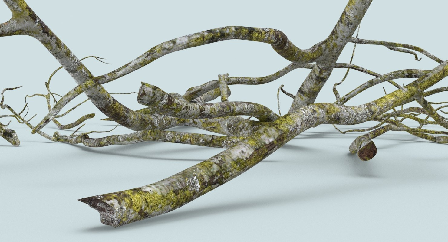 3D fallen-tree-branches-03 - TurboSquid 1348267