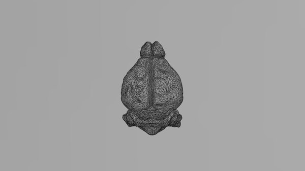 3D mouse brain model - TurboSquid 1348769