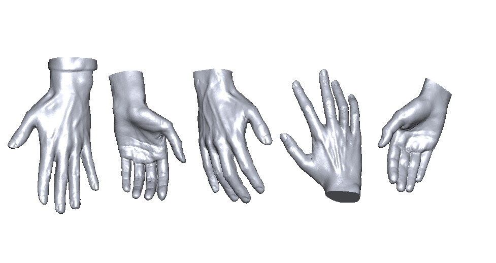 3D scan hands - TurboSquid 1349078