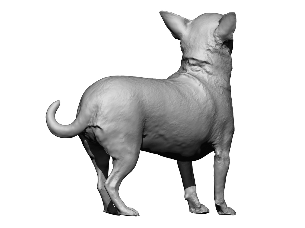 3D dog scanned model - TurboSquid 1349239