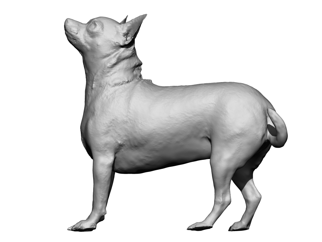 3D dog scanned model - TurboSquid 1349239