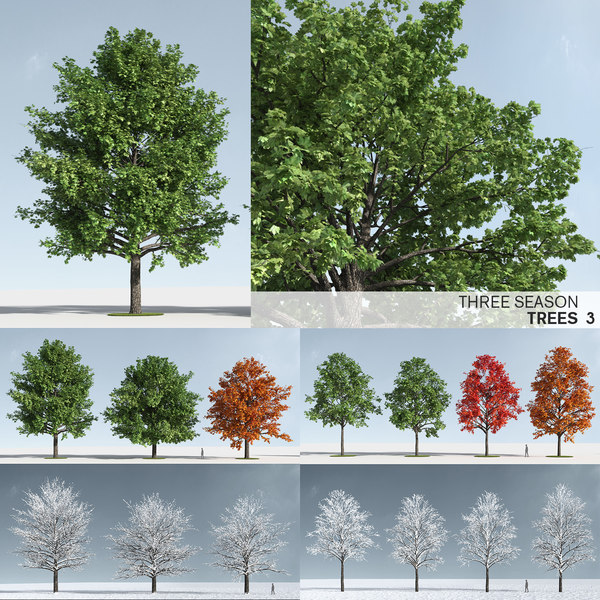 3d model winter tree v1