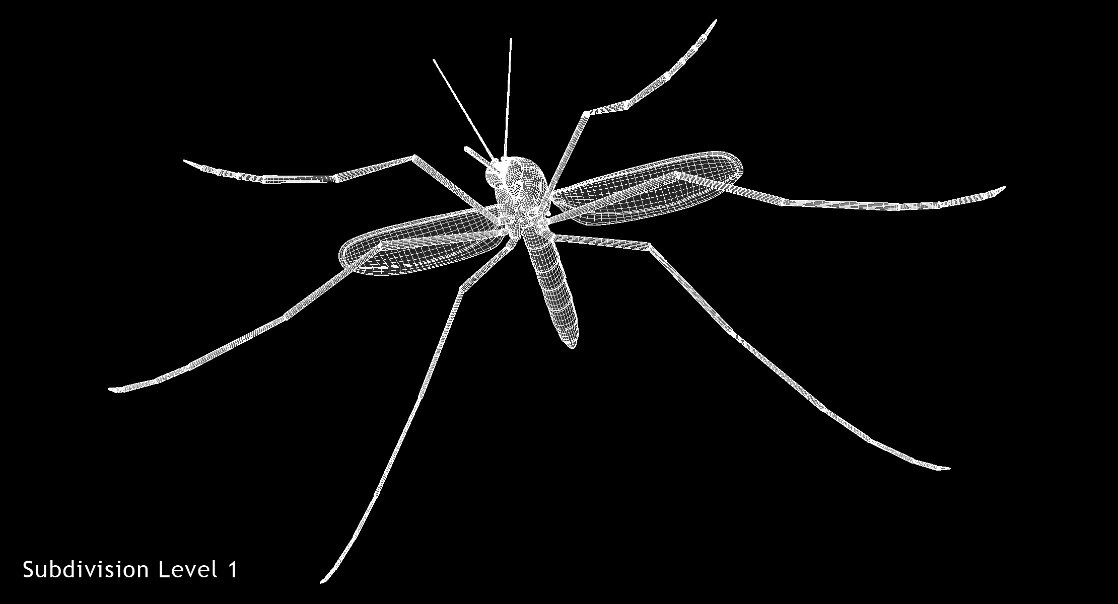 3D model common house mosquito animation - TurboSquid 1353866
