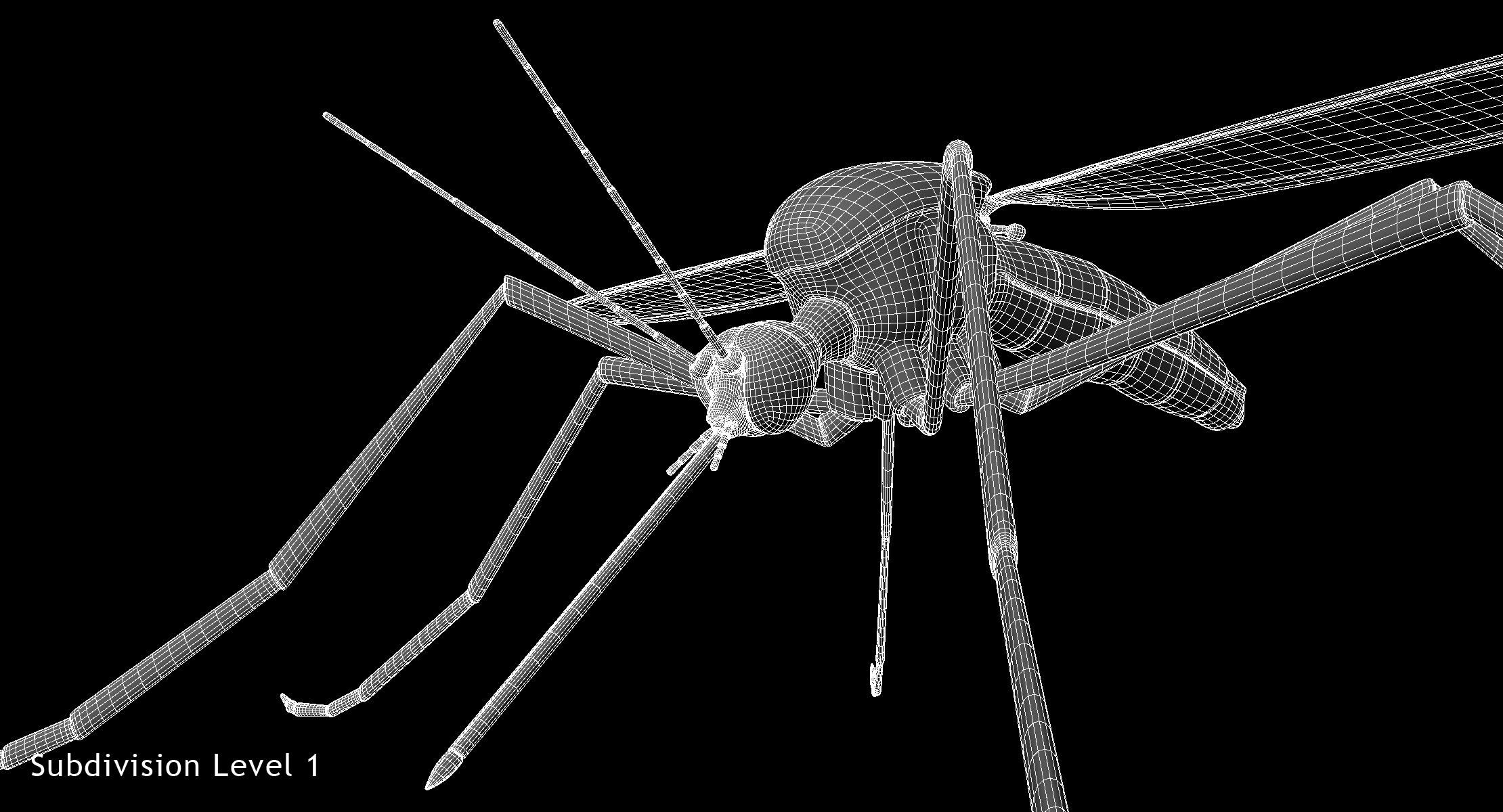 3D model common house mosquito animation - TurboSquid 1353866