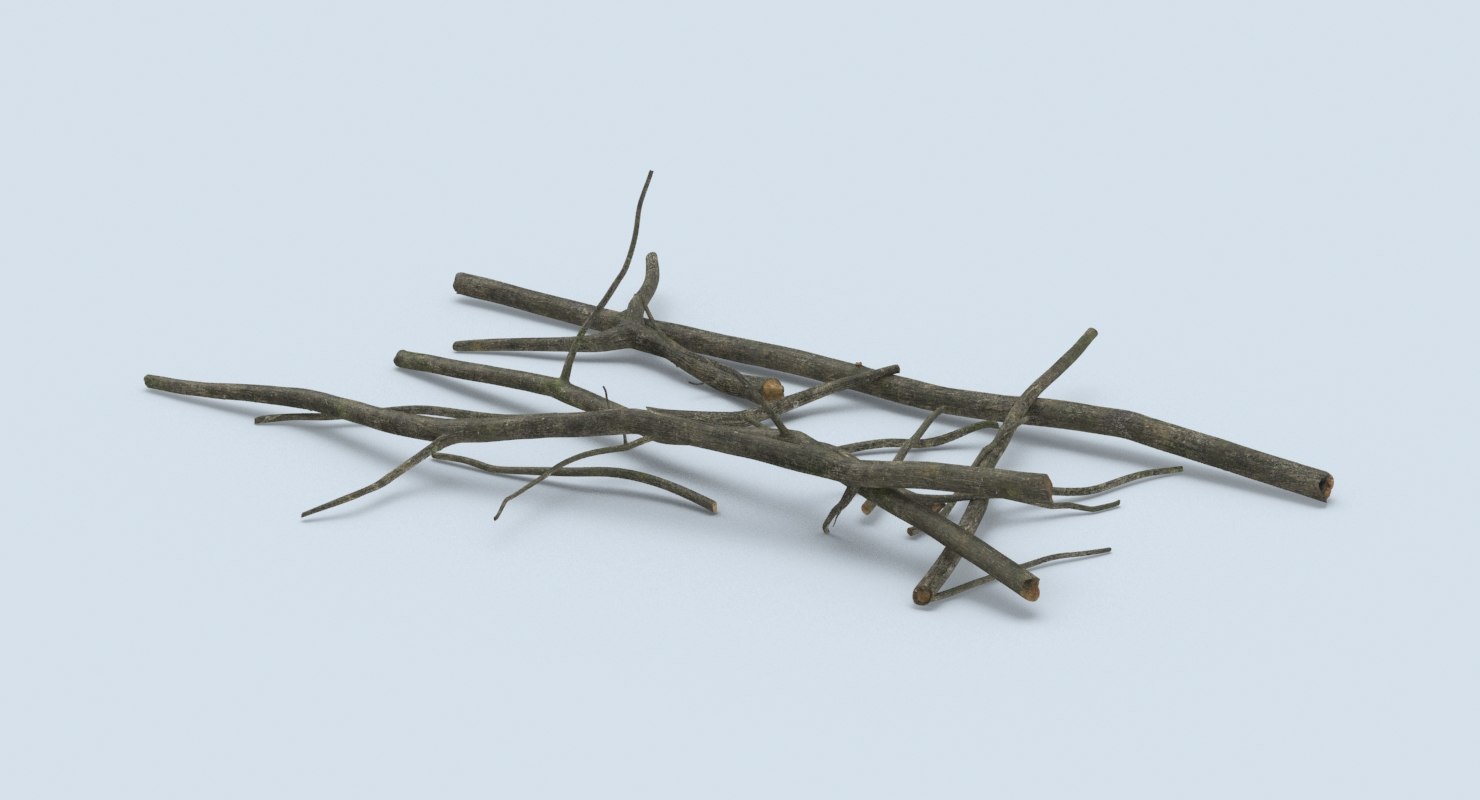 Fallen-tree-branches-02 3D model - TurboSquid 1350047