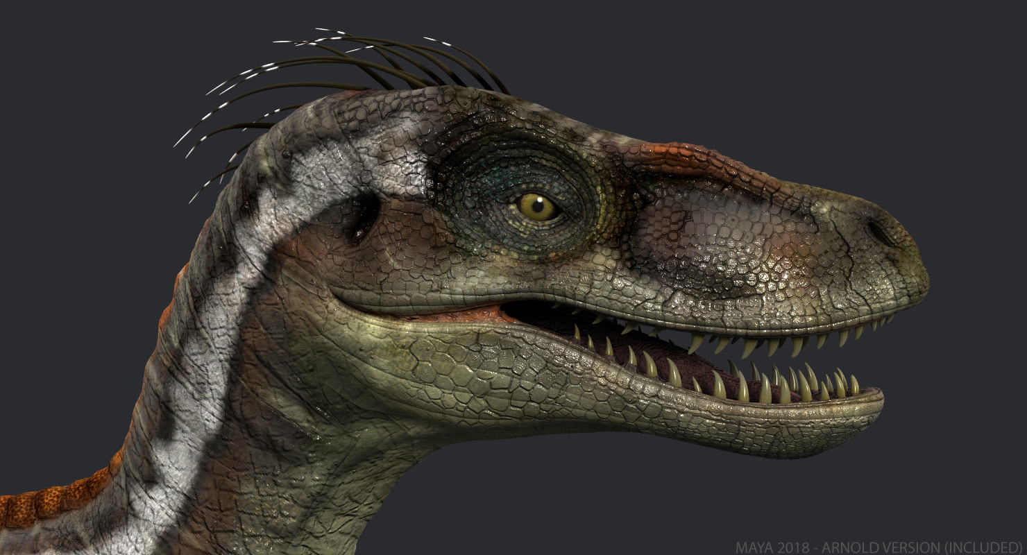 velociraptor rigged 1 ma