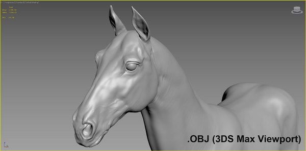 3D horse animal mammal - TurboSquid 1350170
