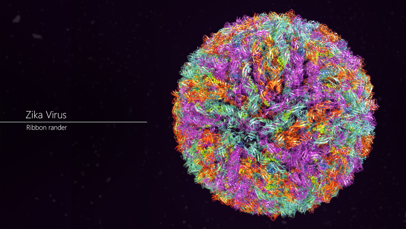 3D scientifically accurate structure zika - TurboSquid 1350175