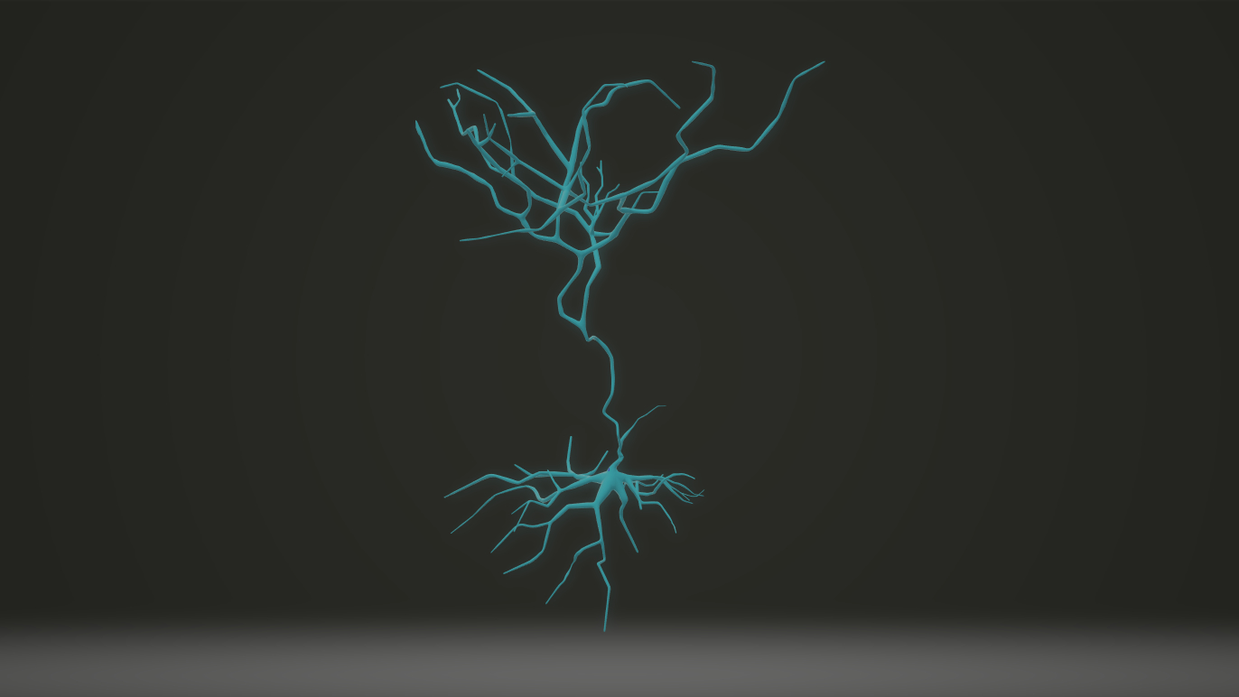 Neurônio Piramidal Subículo Modelo 3D - TurboSquid 1348284