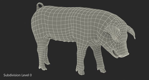 3D pig piglet pietrain standing - TurboSquid 1350935