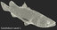 Barramundi lates calcarifer fish 3D model - TurboSquid 1350964